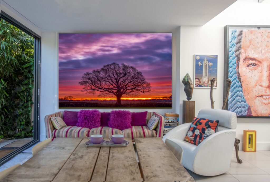PHOTOGRAPHER ADRIAN HOUSTON LAUNCHES NEW COLLECTION OF BESPOKE MURALS ...